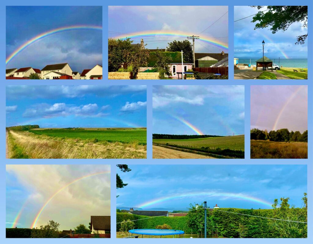 🌈 RAINBOWS 🌈 – #TeamHamish